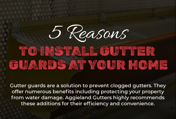Top Reasons to Install Gutter Guards at Your Home [infographic ...